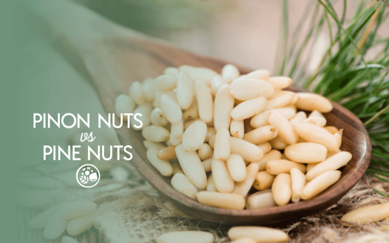 Pinon Nuts VS Pine Nuts: Here Are The Subtle Differences