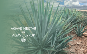 Agave Nectar VS Agave Syrup | The One Important Difference