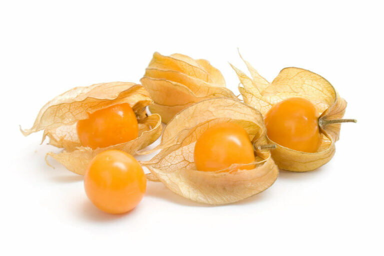 Gooseberry VS Golden Berries: Don't Be Fooled By Their Appearance