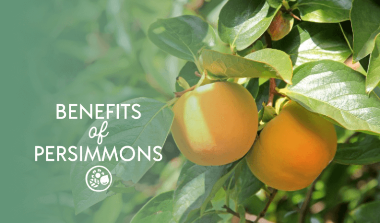 14 Benefits Of Persimmons That Must Not Be Overlooked – PlantBasedFAQs ...