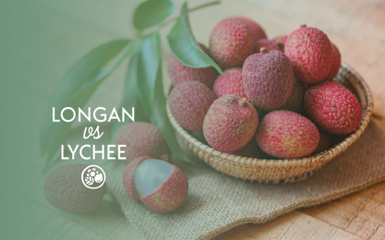 Longan VS Lychee | The Subtle Differences
