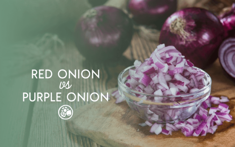Red Onion VS Purple Onion | Why There's No Difference