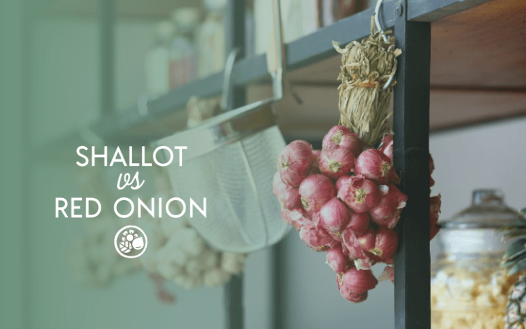Shallot VS Red Onion | Why Looks Can Be Deceiving