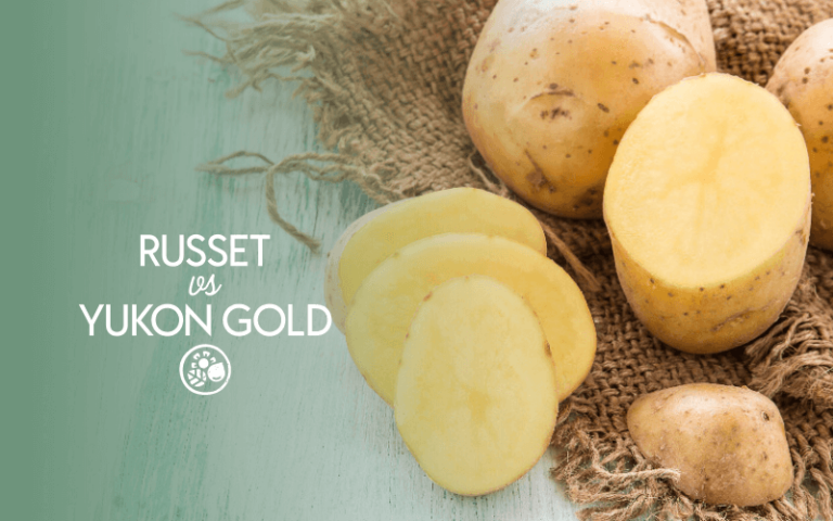 Russet VS Yukon Gold Potatoes: 9 Key Differences
