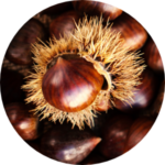 Nuts With The Most Iron | 11 Varieties Ranked