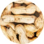 Nuts With The Most Iron | 11 Varieties Ranked