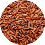 Rice Highest In Fiber | 12 Varieties Ranked